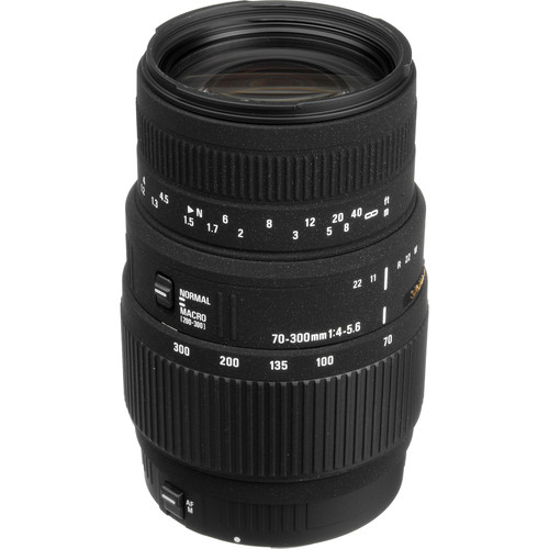 USAGE - SIGMA EF 70-300MM MACRO (7) | Gosselin Photo